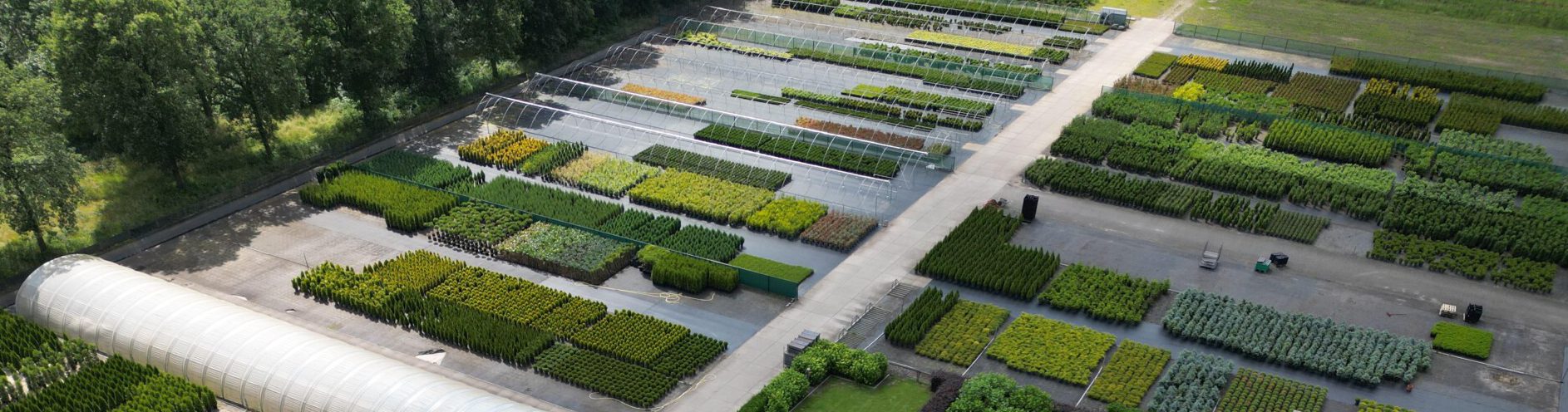 Assortiment - Jaspers Sierteelt